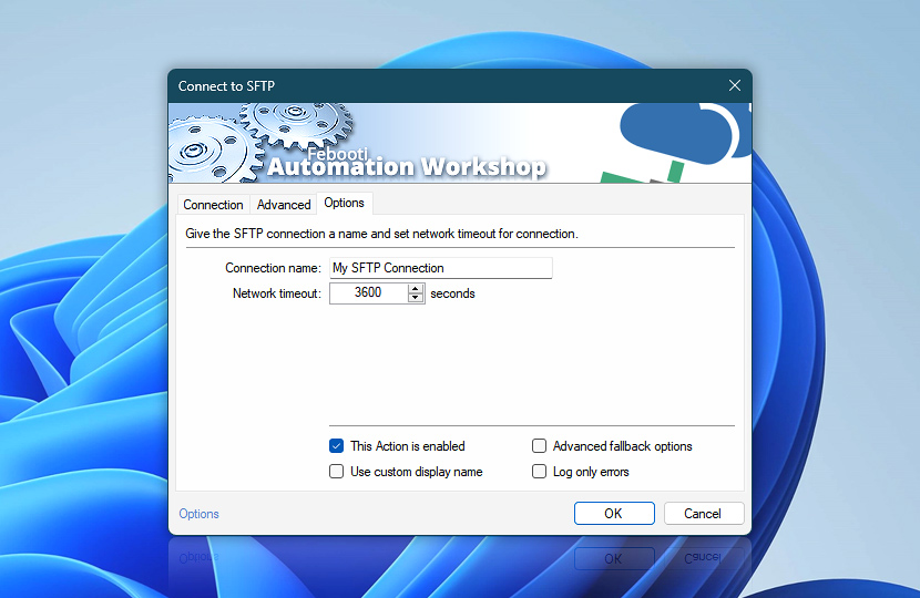 Options For The Connect To SFTP
